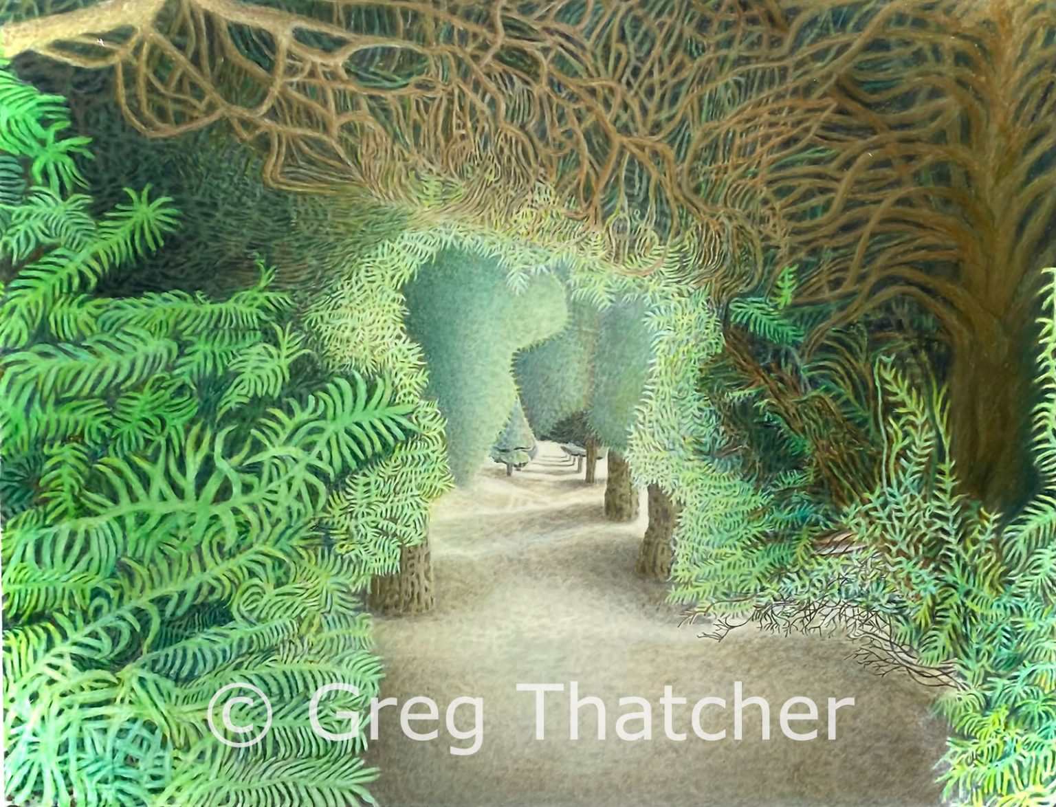 Shop Artwork - Greg Thatcher Gallery
