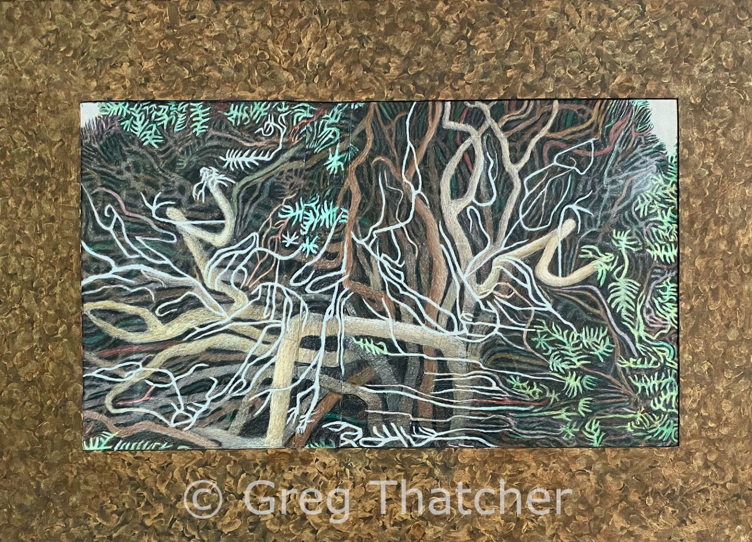 Shop Artwork - Greg Thatcher Gallery